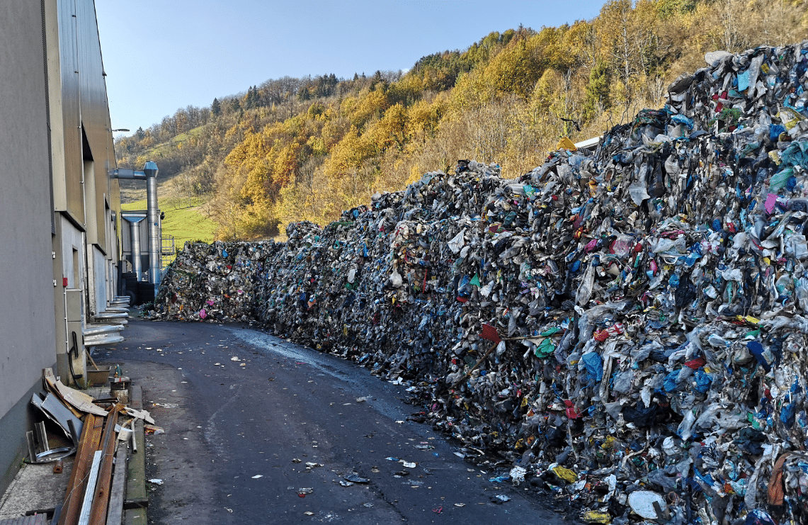 Ceroz v vse boljši podobi - Savus
