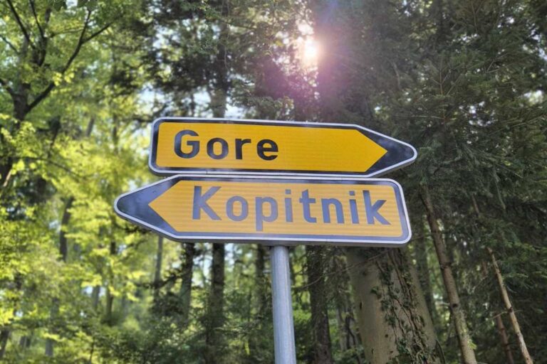 Cesta Kopitnik-Turje deloma sanirana - Savus
