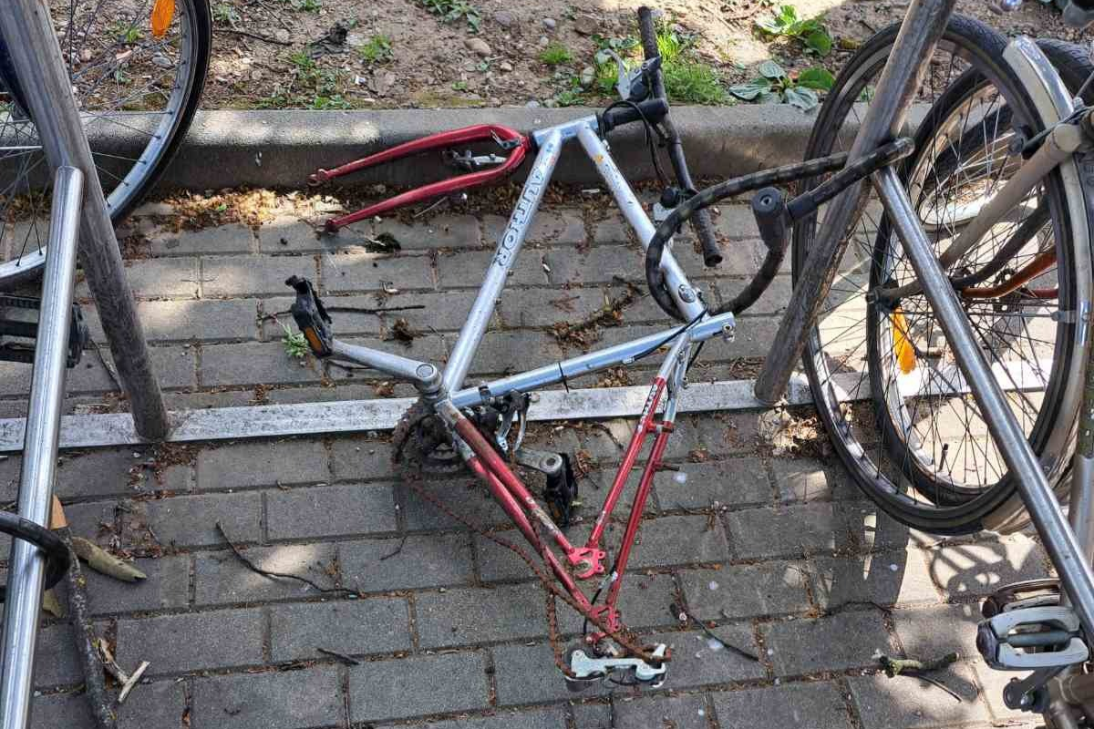 Foto tedna: Obran - Savus