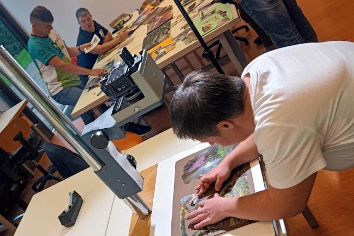 VDC Zasavje in Art Elevate - Savus